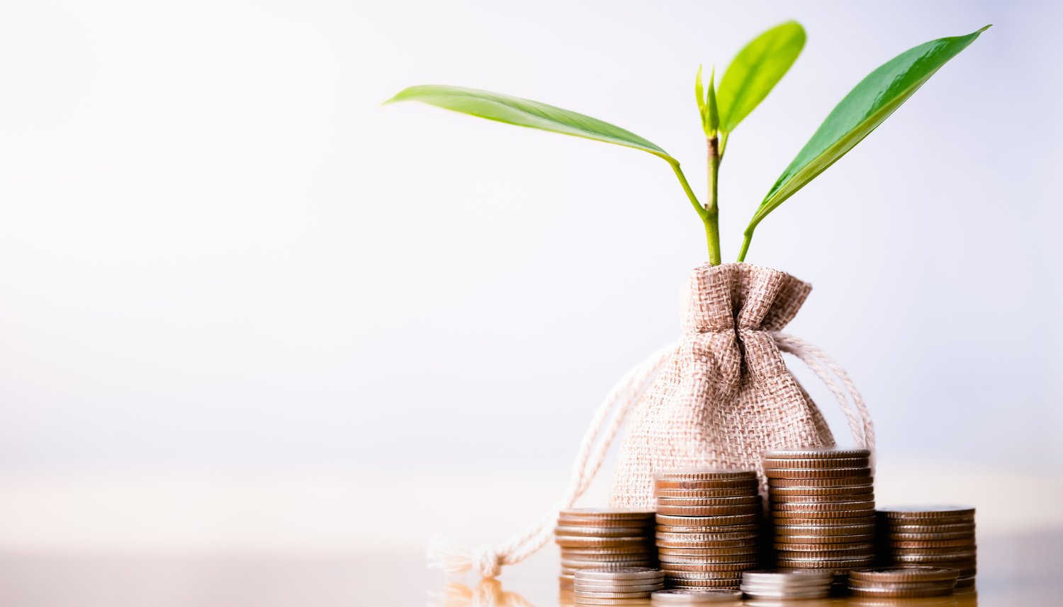 Backdoor Roth IRA 2025: Step-by-Step Guide & Rules